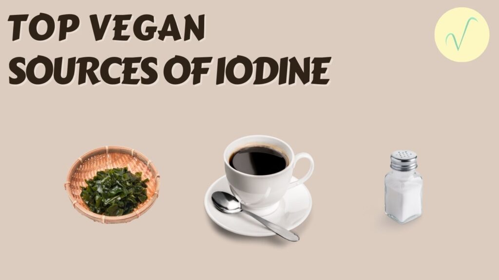 Vegan Sources of Iodine | Iodine Foods Vegan - Veganisingit