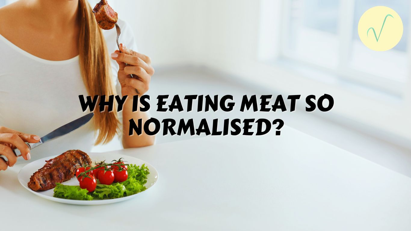 Why Are People So Conditioned To Eat Meat? - Veganisingit